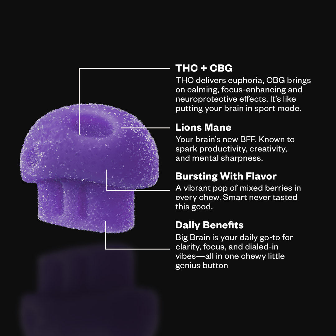 Microdose Delta-9 Gummies | Lion's Mane + THC - Love / 20 Piece / 1 ...